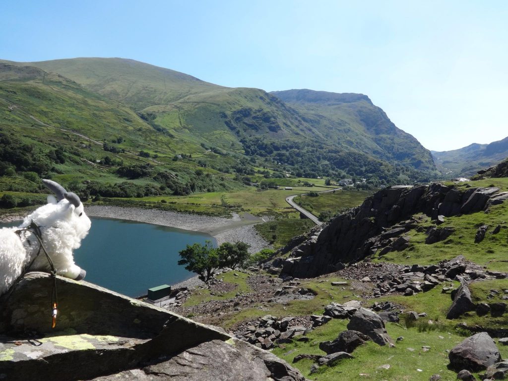 For the Greater Goat: ML Training in Sunny Snowdonia - UBES